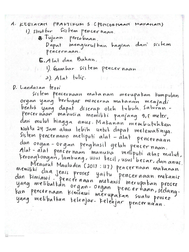 Pencernaan Modul 3 KP 2 | PDF