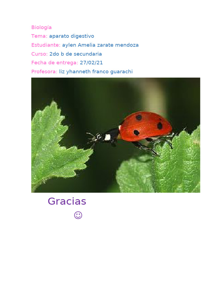 Aparato Digestivo Aylen Zarate Mendoza | PDF