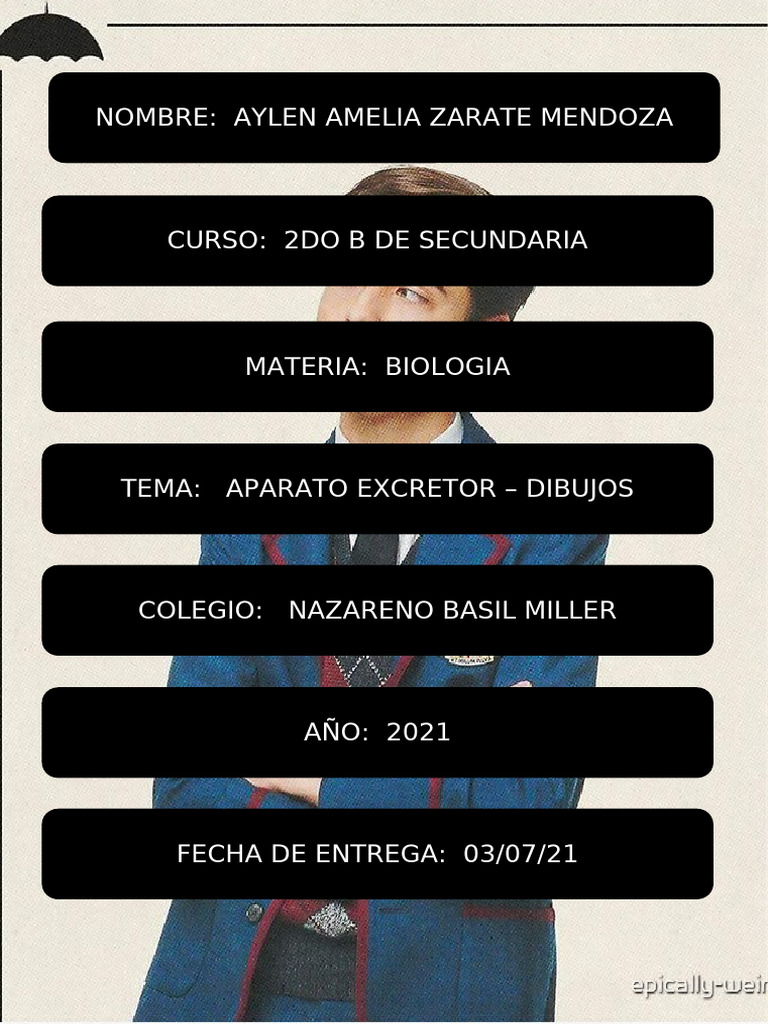 APARATO EXCRETOR Aylen Zarate | PDF