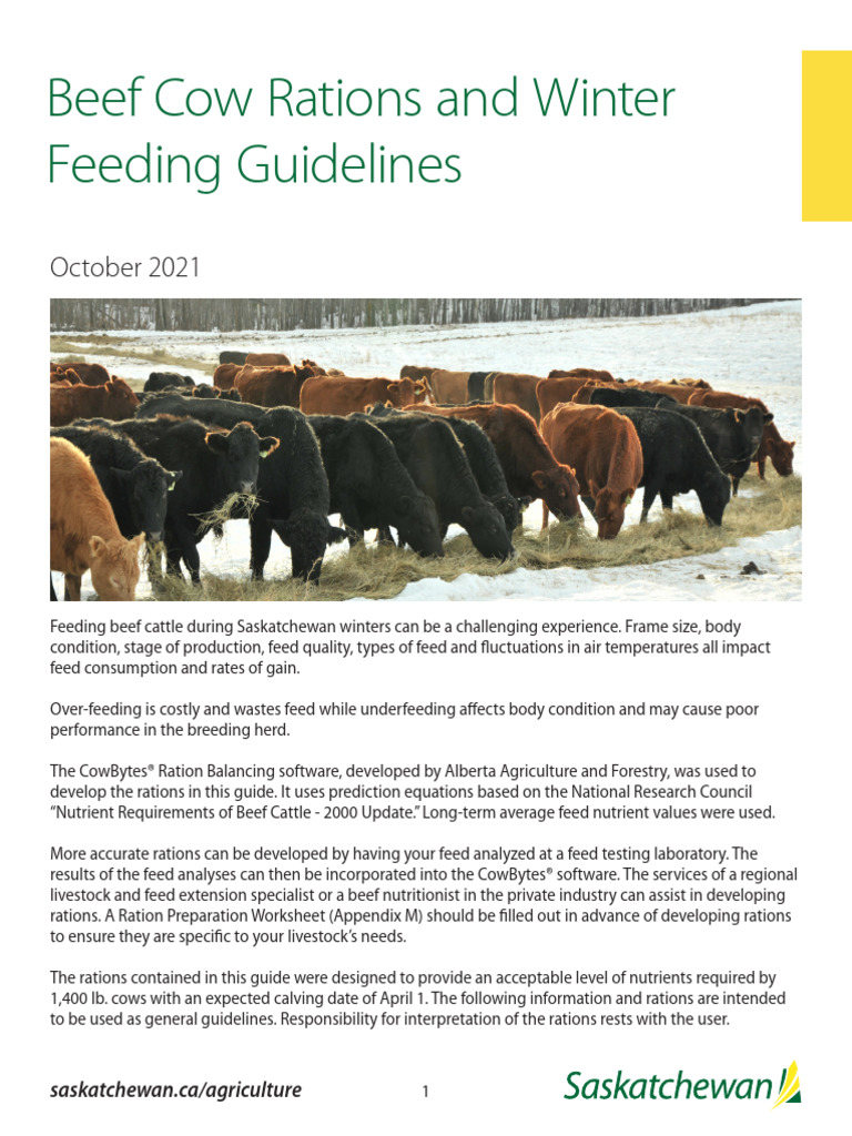 Beef Cow Rations and Winter Feeding Guidelines | PDF | Animal Feed | Hay