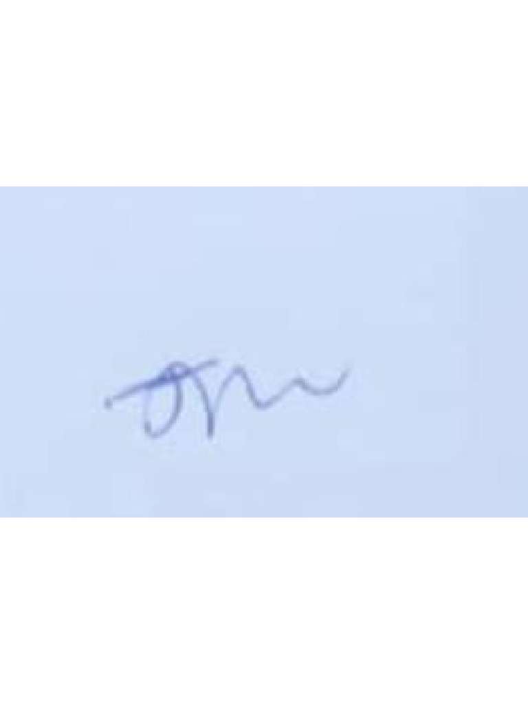 bibi signature | PDF