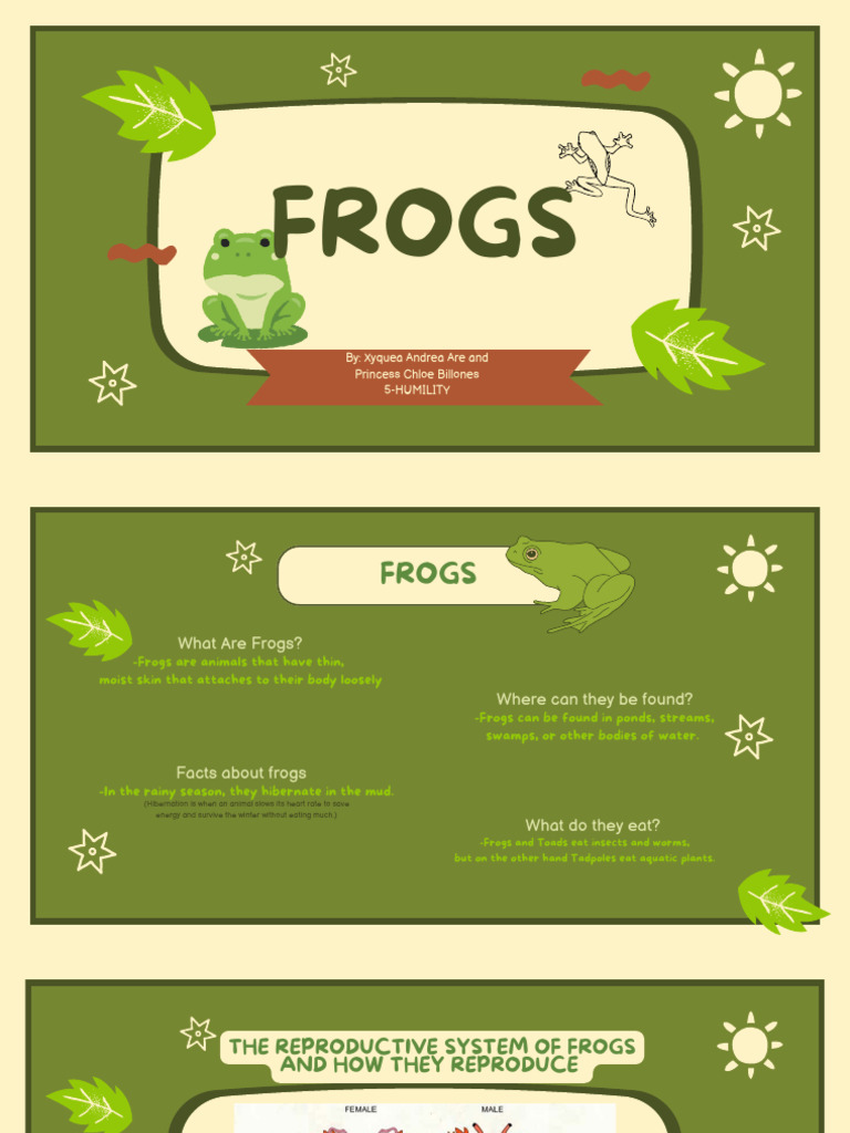 Frogs | PDF