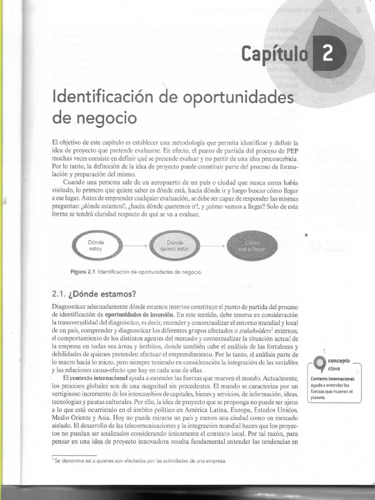 Capítulo 2 Form y Prep de Proyectos Sapag Edición 6ta | PDF