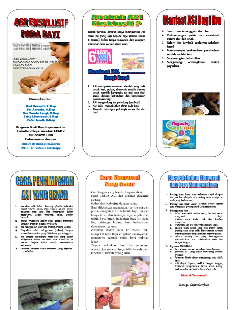 Leaflet Asi Eksklusif | PDF