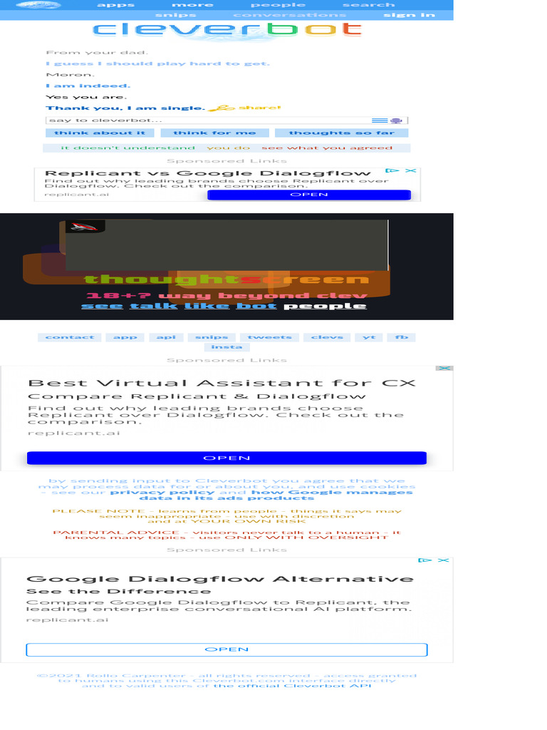 Understanding Cleverbot Interactions | PDF