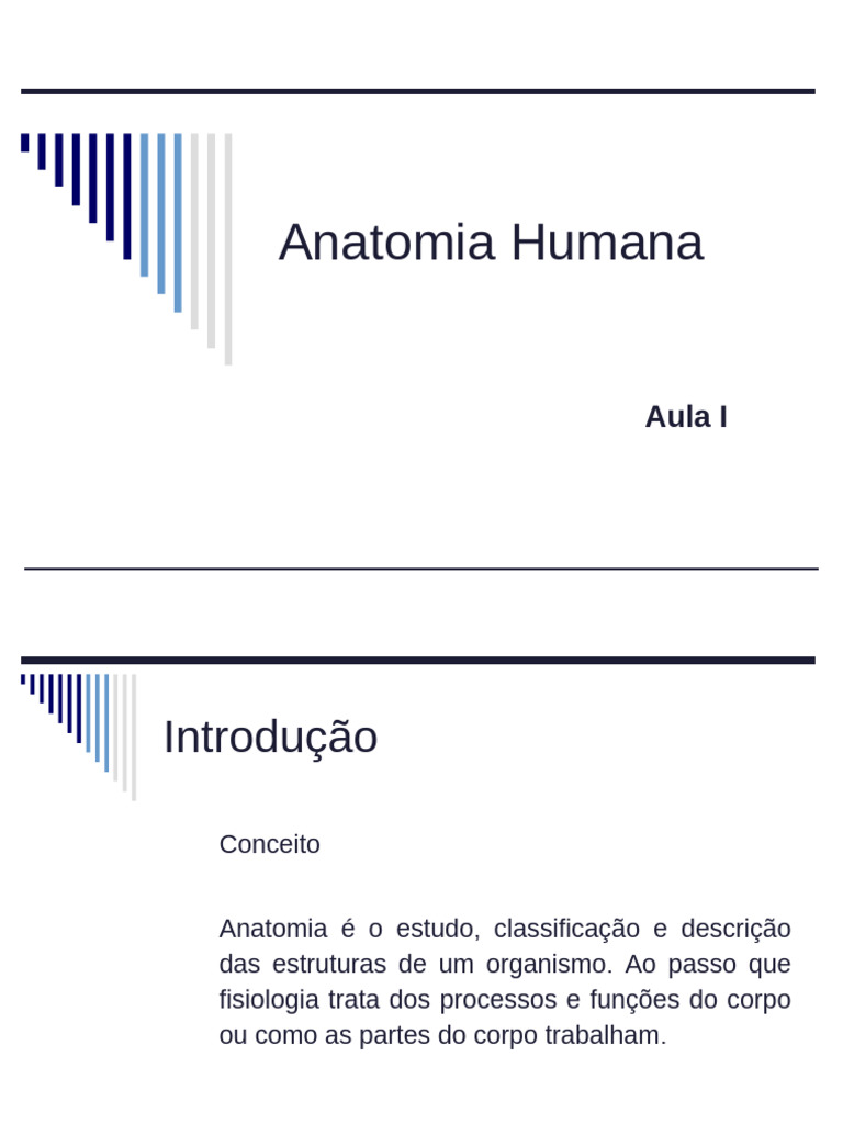 Terminologia Anatomica - Anatomia Humana | PDF | Corpo humano | Anatomia