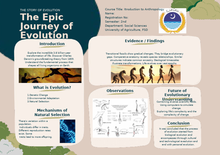 Plant and Animal Evolution Activity Research Poster in Hand Drawn Style ...