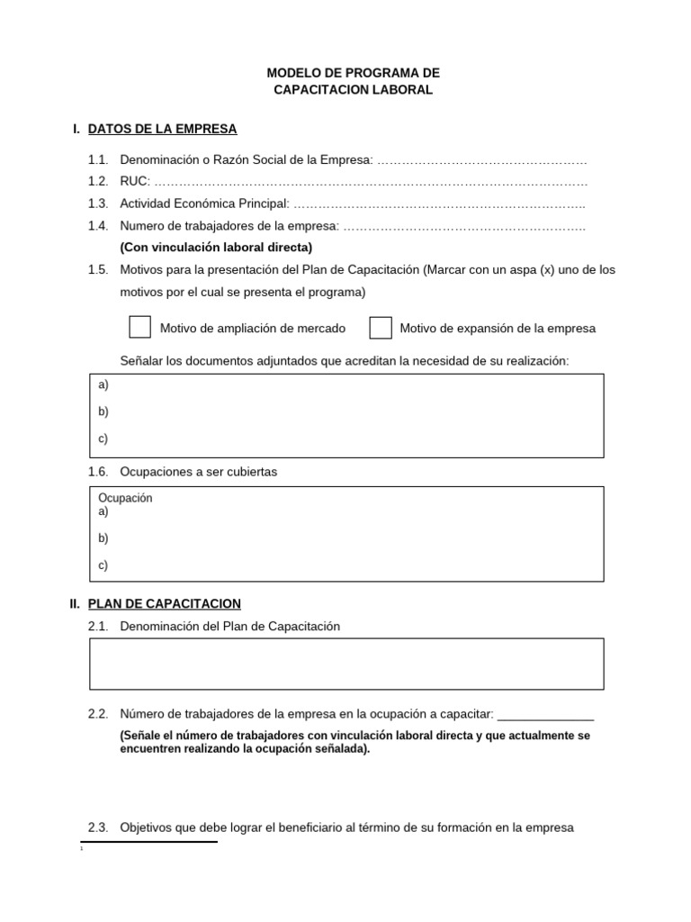 Modelo de Programa de Capacitación | PDF