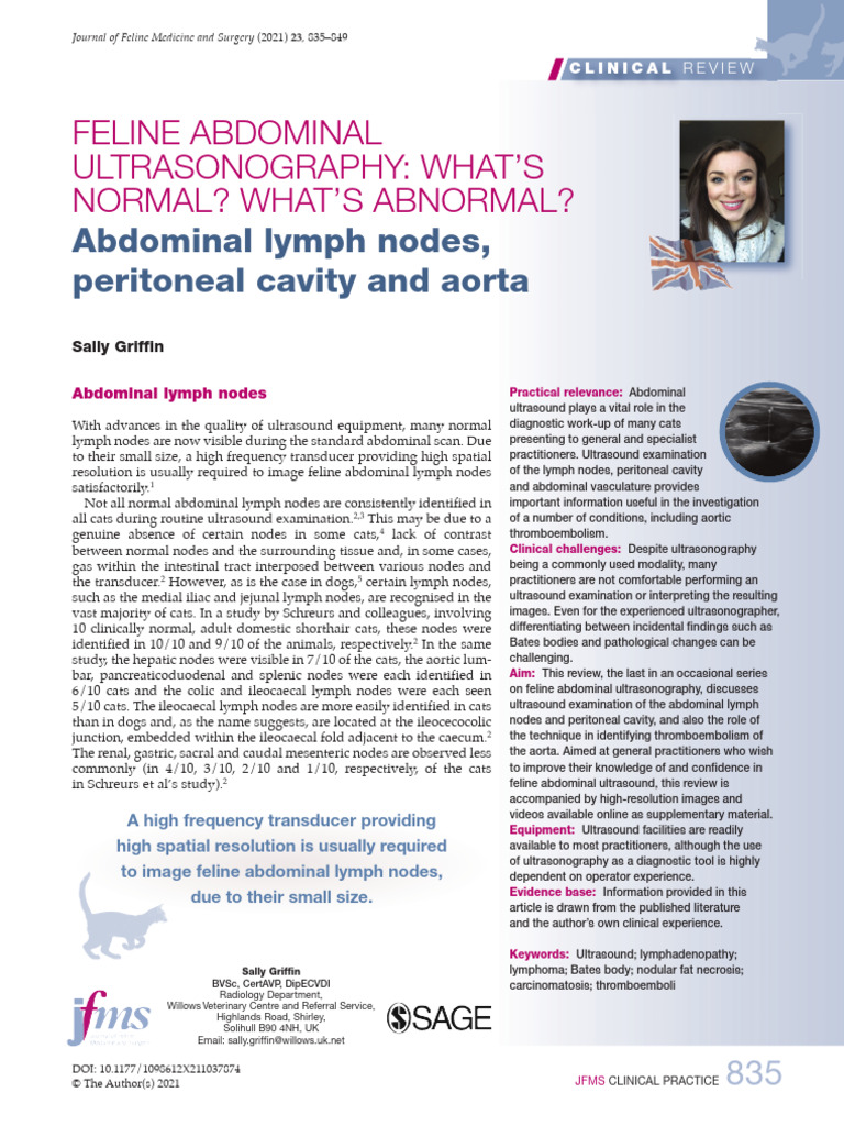 Abdominal Lymph Nodes, Peritoneal Cavity and Aorta | PDF | Medical ...