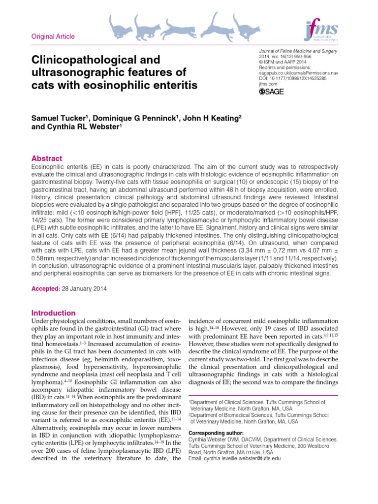 Clinicopathological and Ultrasonographic Features of Cats With ...