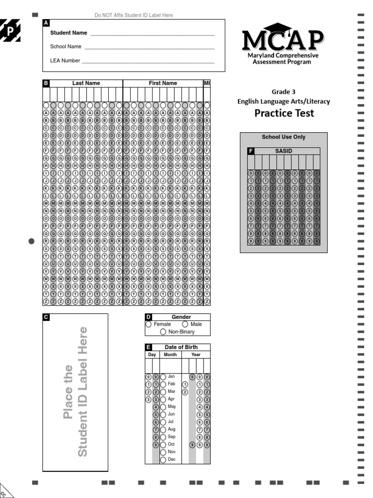 Grade 3 Primary Practice Exam Paper | PDF