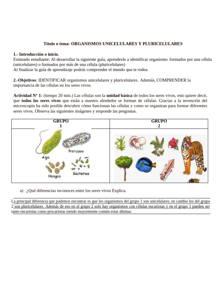 Organismos Unicelulares y Pluricelulares | PDF | Biología Celular ...