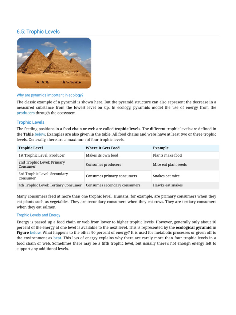 6.5 - Trophic Levels - Biology LibreTexts | PDF | Food Web | Biomass ...