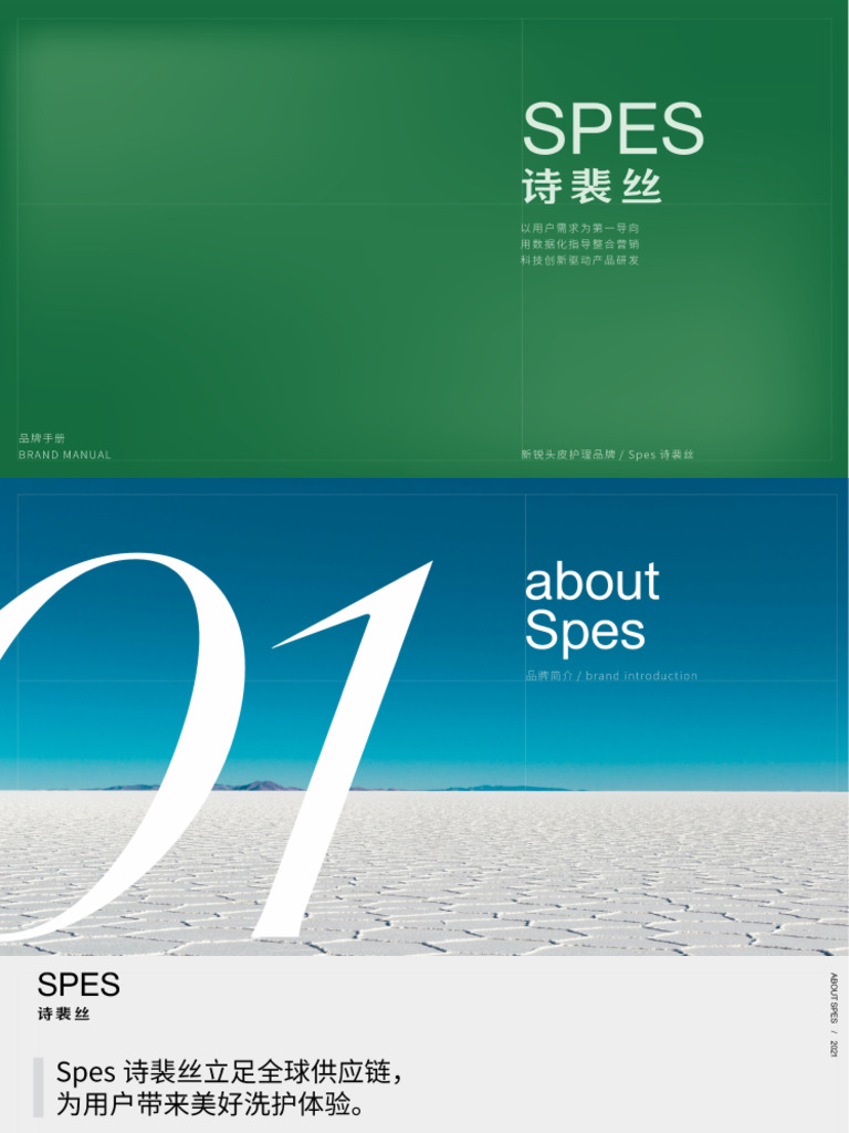 Spes品牌手册方案 | PDF
