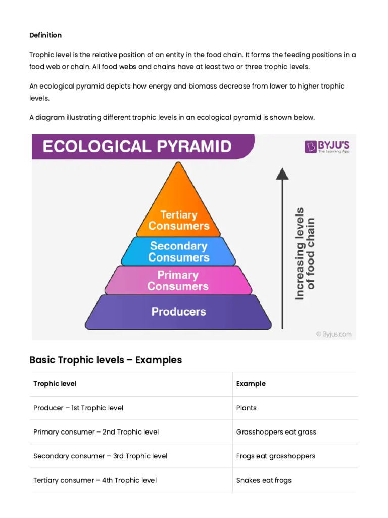 byjus.com_biology_trophic-level-diagram_ | PDF | Food Web | Biomass (Ecology)