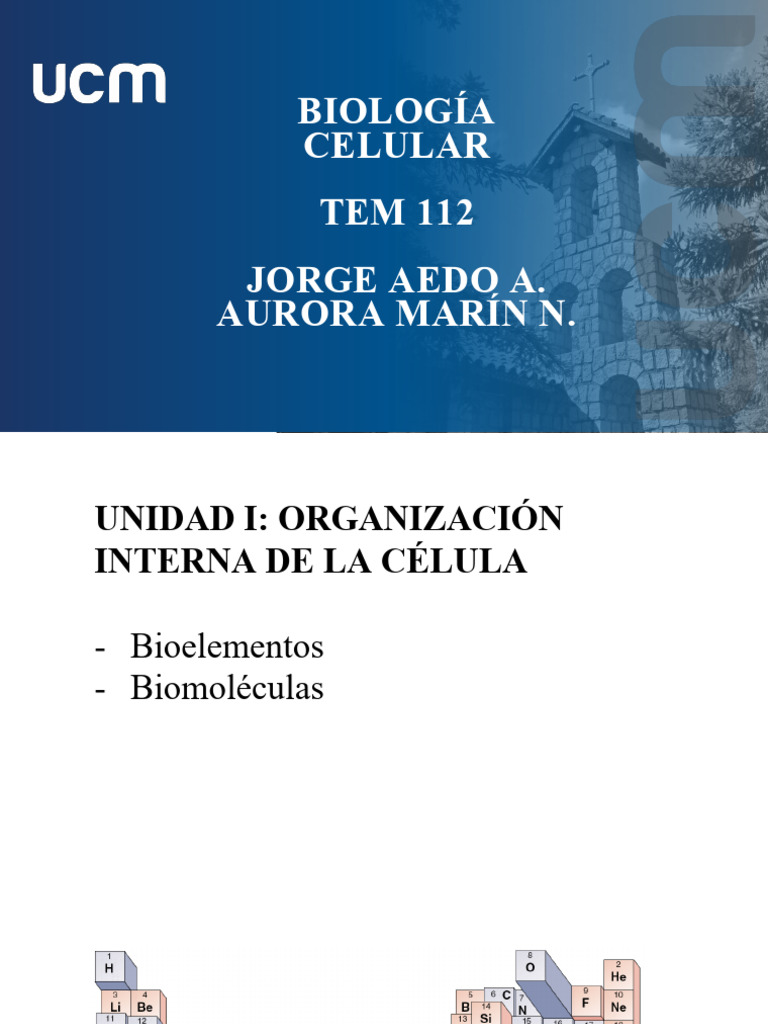C2 Bio Cel Tecmed - Biomoléculas | PDF | Carbohidratos | Lípido