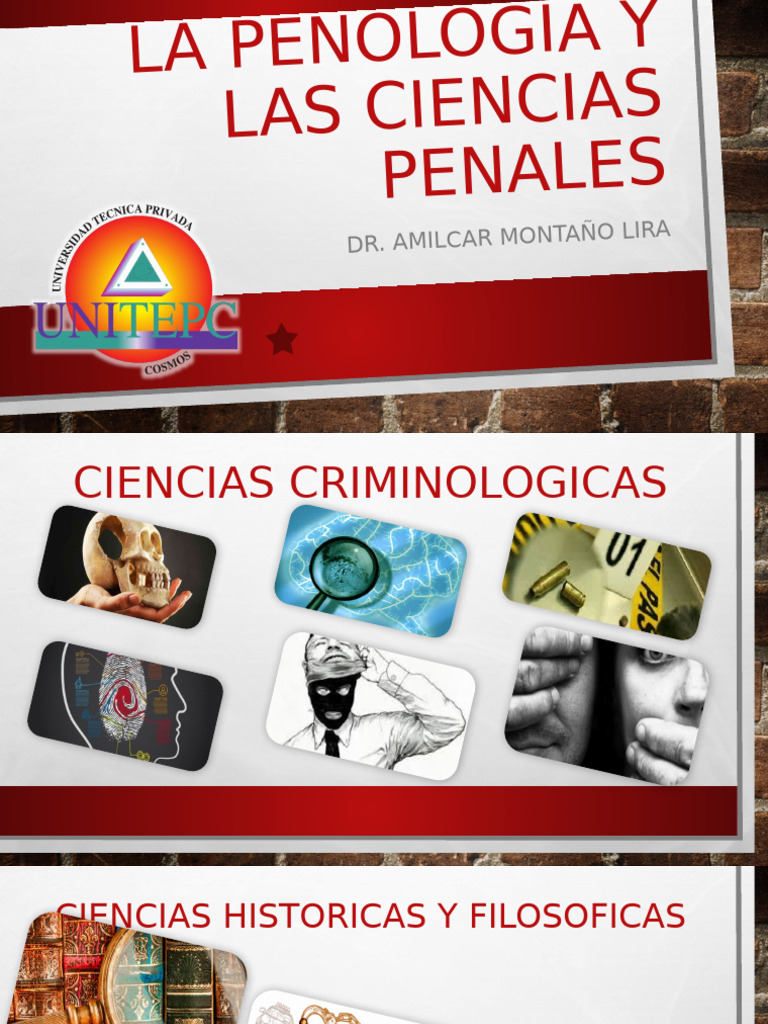 Tema 3 - Penologia y Ciencias Penales | PDF | Criminología | Derecho penal