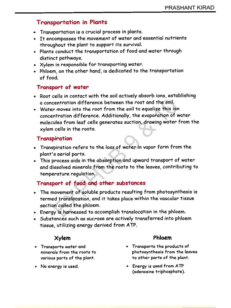 PDFReader 20250515 0836 | PDF