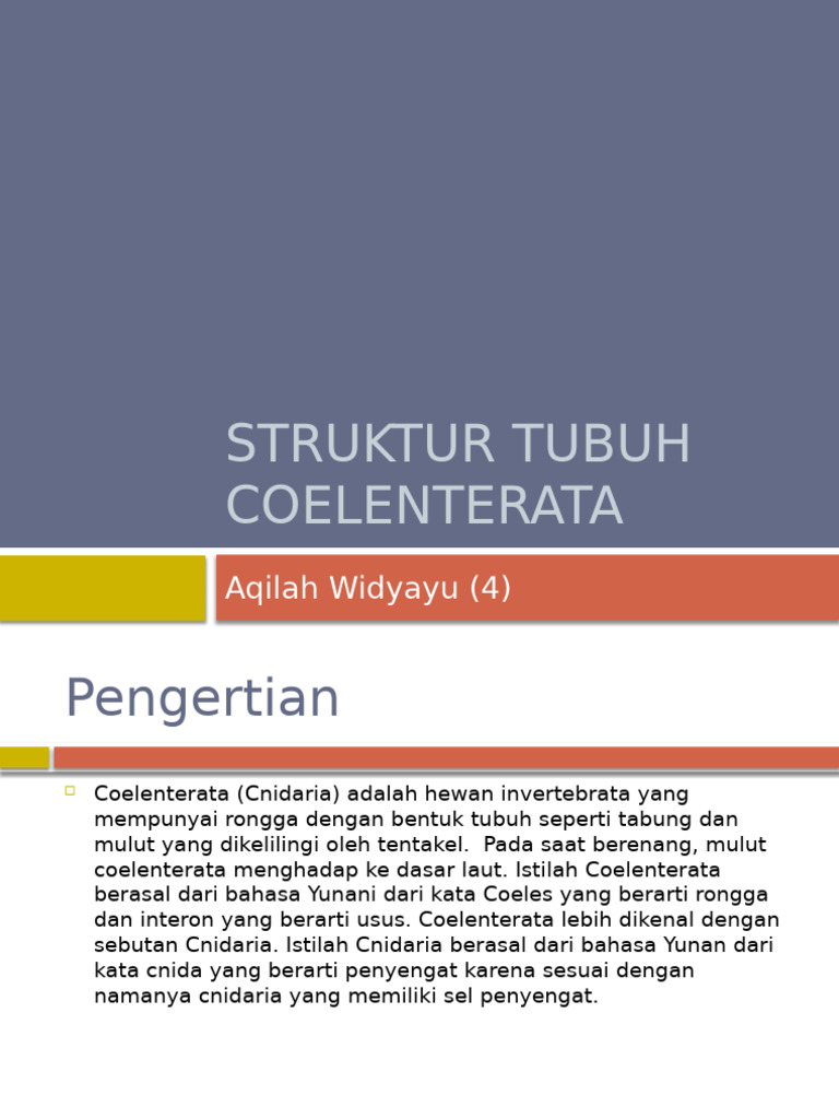 Struktur Tubuh Coelenterata (Cnidaria) | PDF