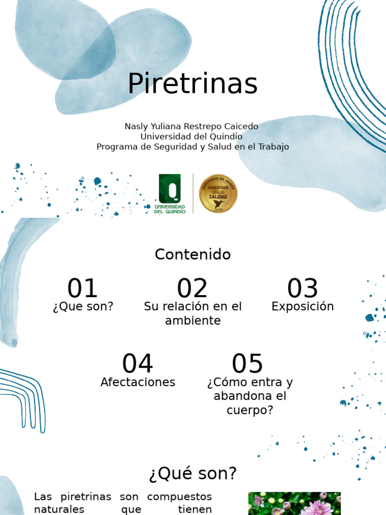 Piretrinas: Efectos y Exposición | PDF