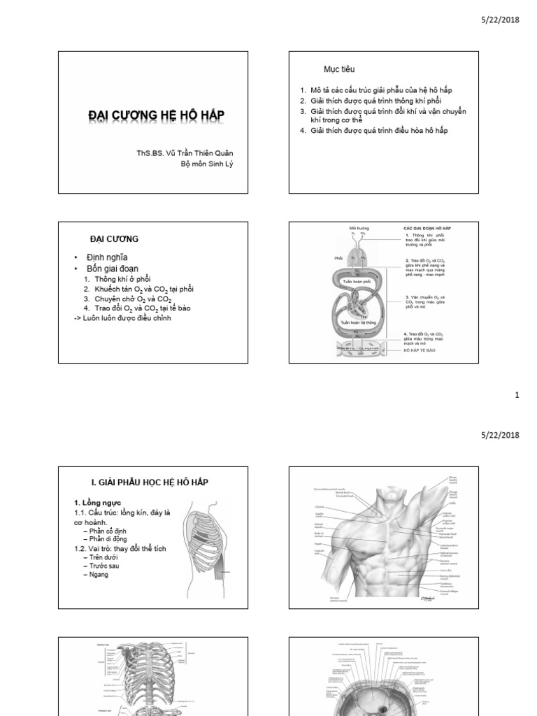 Dai Cuong He Ho Hap Y1!5!2018 Up | PDF