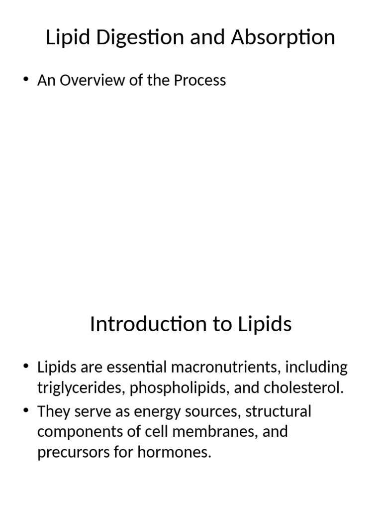 Lipid Digestion and Absorption | PDF