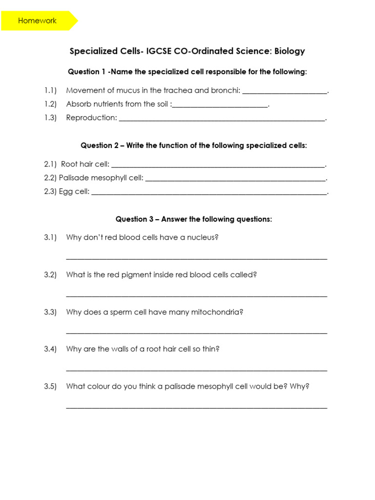 Specialized Cells HW Coordinated Science | PDF
