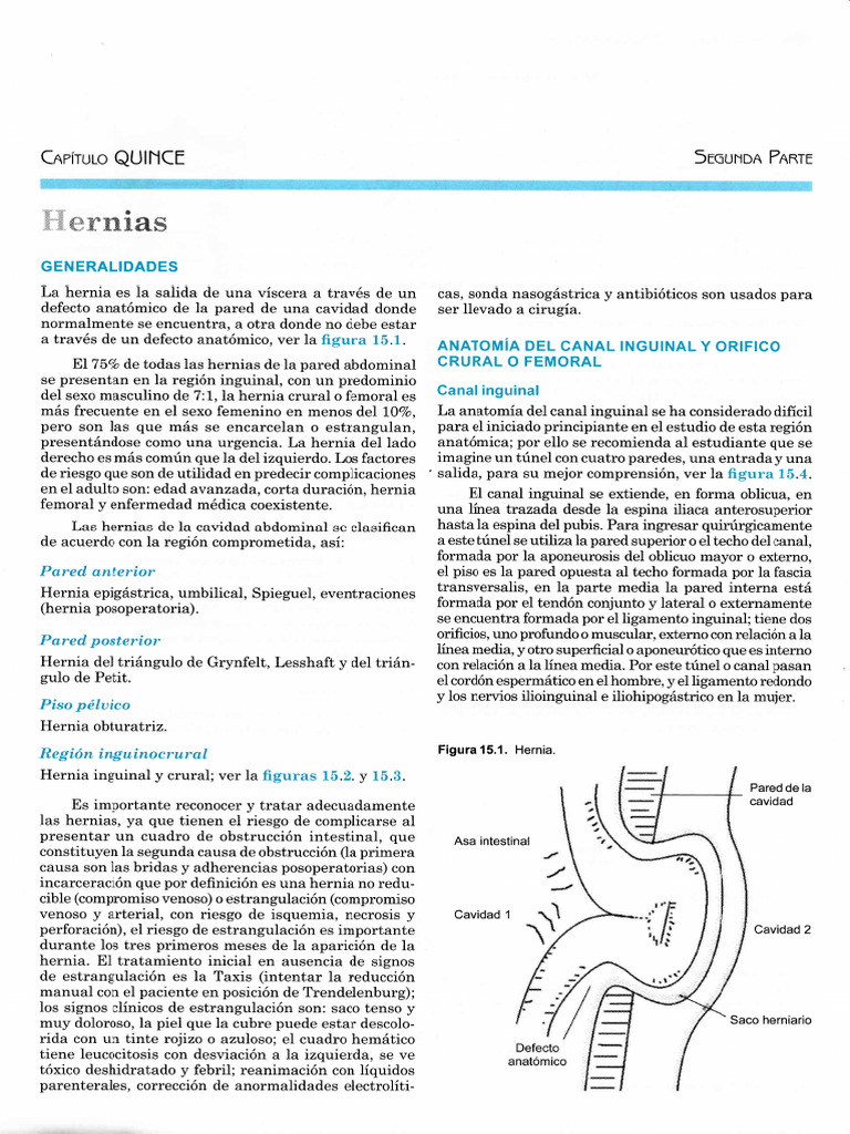Hernias | PDF