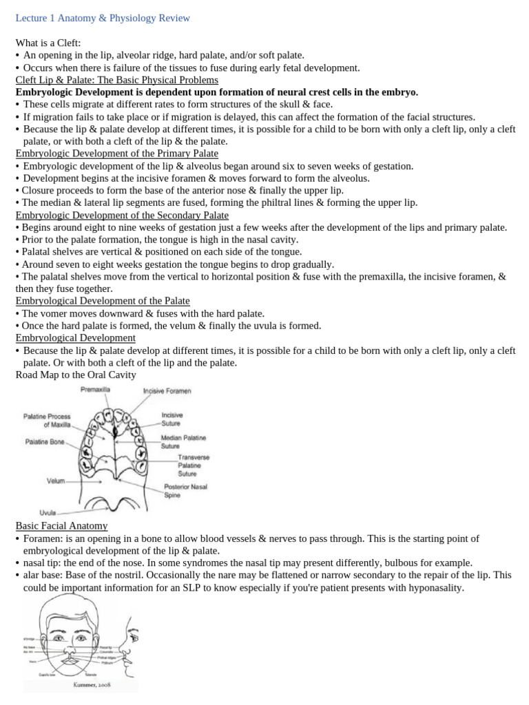 Cleft Lip and Palate Anatomy Overview | PDF | Human Nose | Primate Anatomy