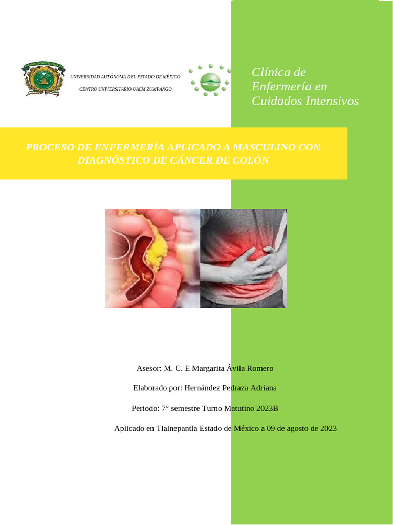 Formato Pae Intensivos | PDF | Especialidades Medicas | Medicina CLINICA