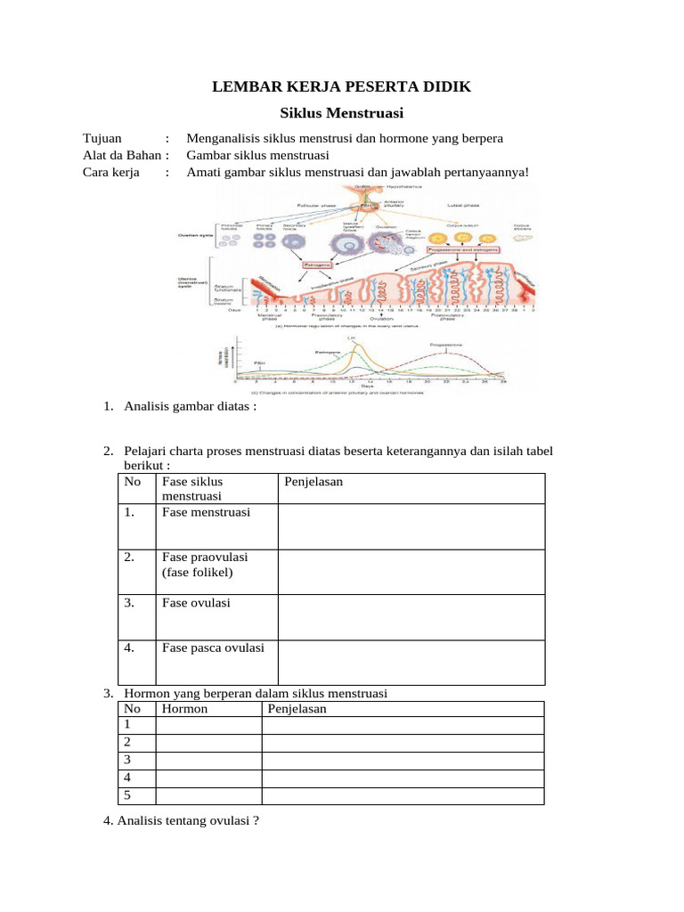 Siklus Menstruasi | PDF