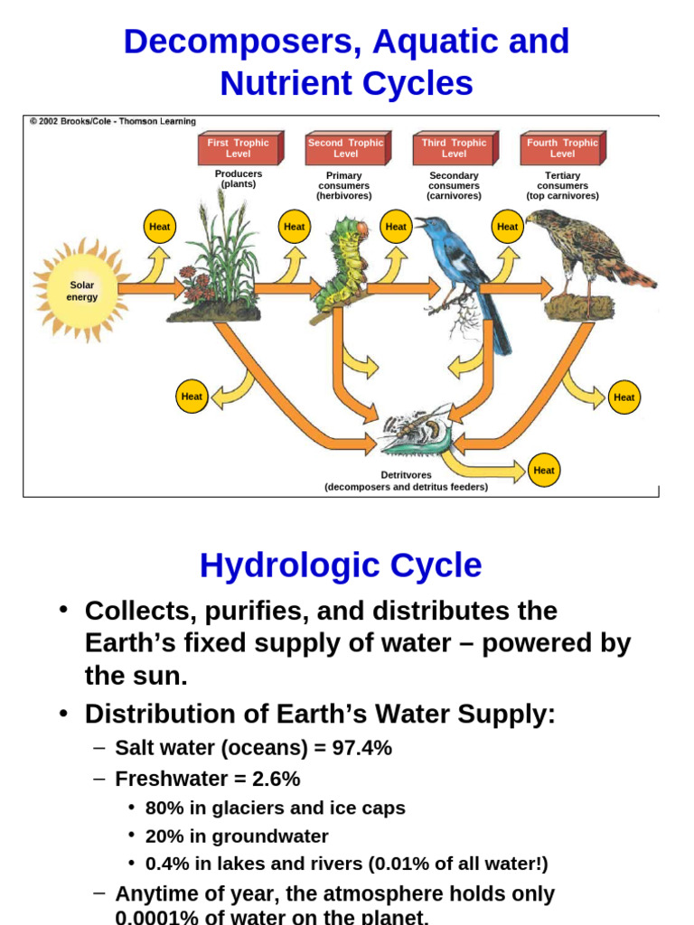 Decomposers, Cycles and Soils | PDF | Water Cycle | Soil