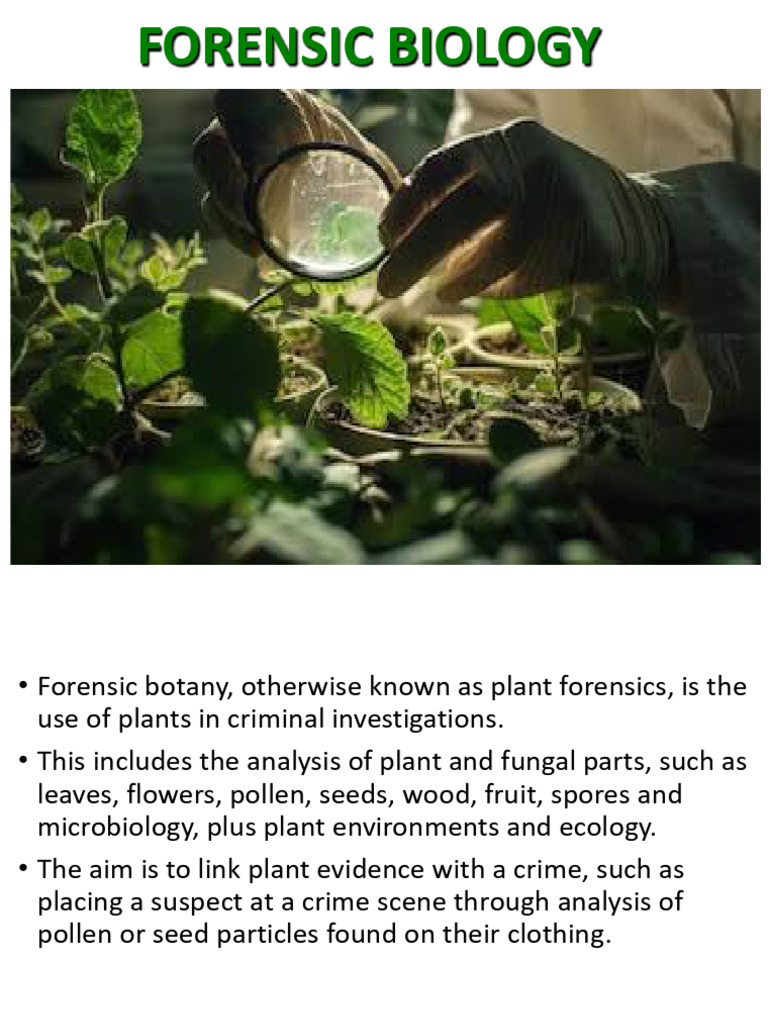 Forensic Botany-Wps Office | PDF | Leaf | Wood
