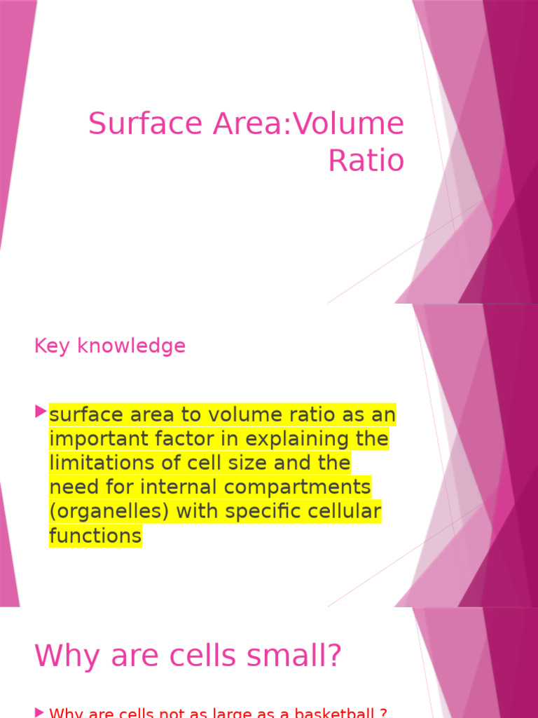 UNIT 1 Biology Lesson 10 Notes (2025) | PDF