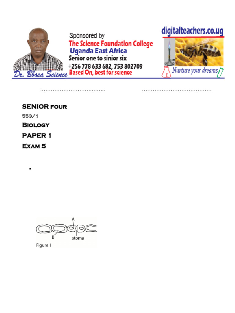 Senior Four Biology Exam Paper 1 | PDF | Kidney | Vertebra