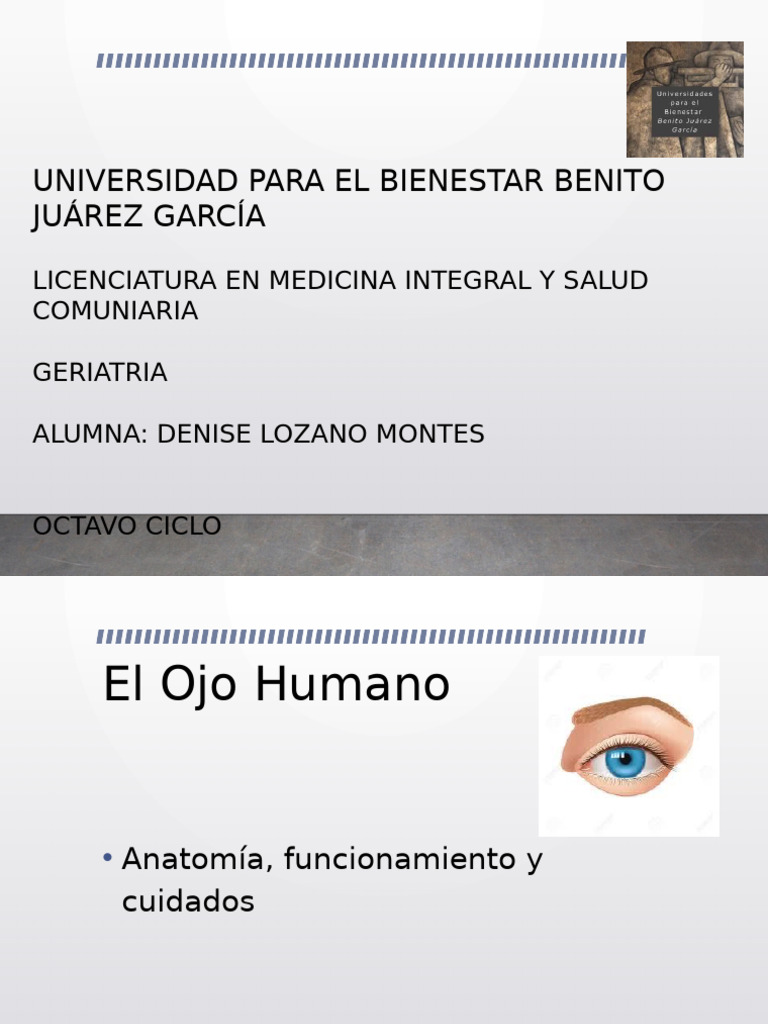 Presentación Ojo Humano Grande | PDF | Ojo humano | Percepción visual