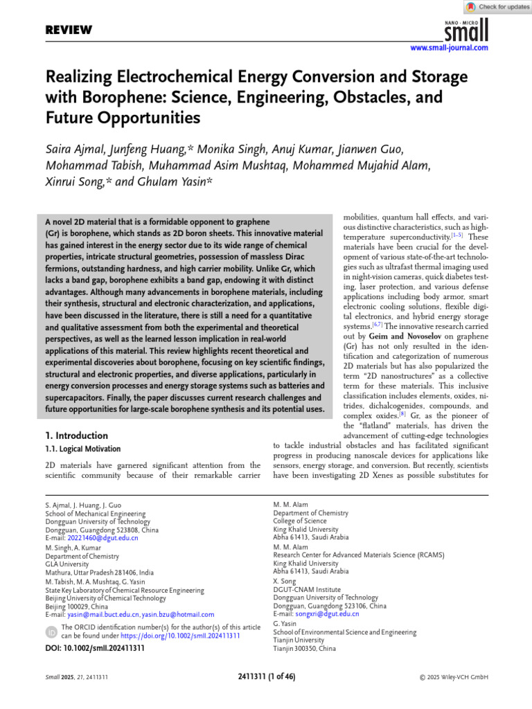 Small - 2025 - Ajmal - Realizing Electrochemical Energy Conversion and Storage With Borophene ...