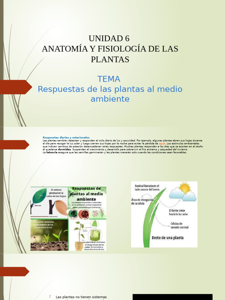 Respuestas de Las Plantas Al Medio Ambiente | PDF | Plantas | Infección
