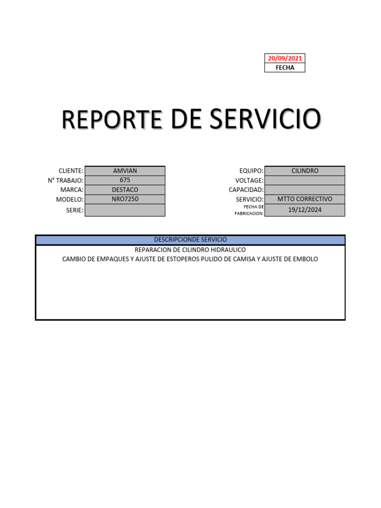 Reporte Amvian | PDF