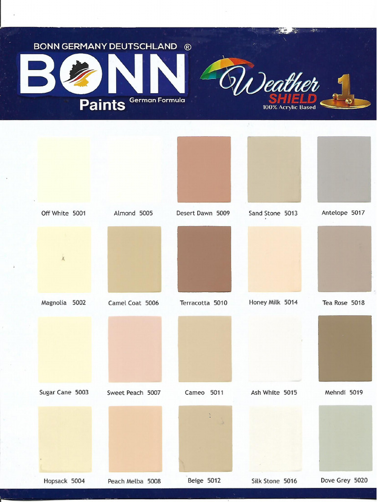 Shad Card NEW W-S | PDF