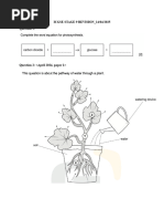 Branching Key Worksheet for Animals | PDF | Invertebrate | Zoology
