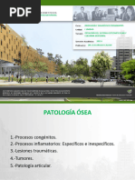 Osteofitos y su Impacto Clínico | PDF | Hueso | Sistema musculoesquelético