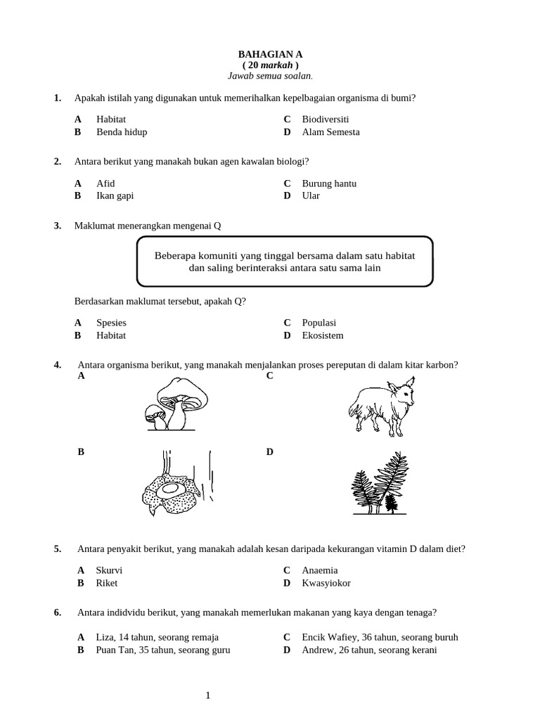 2025 PPT Sains F2 | PDF