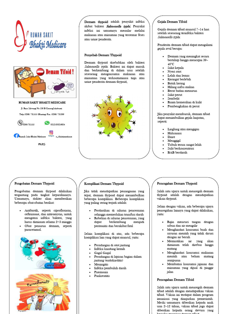 Leaflet DEMAM THYPOID | PDF