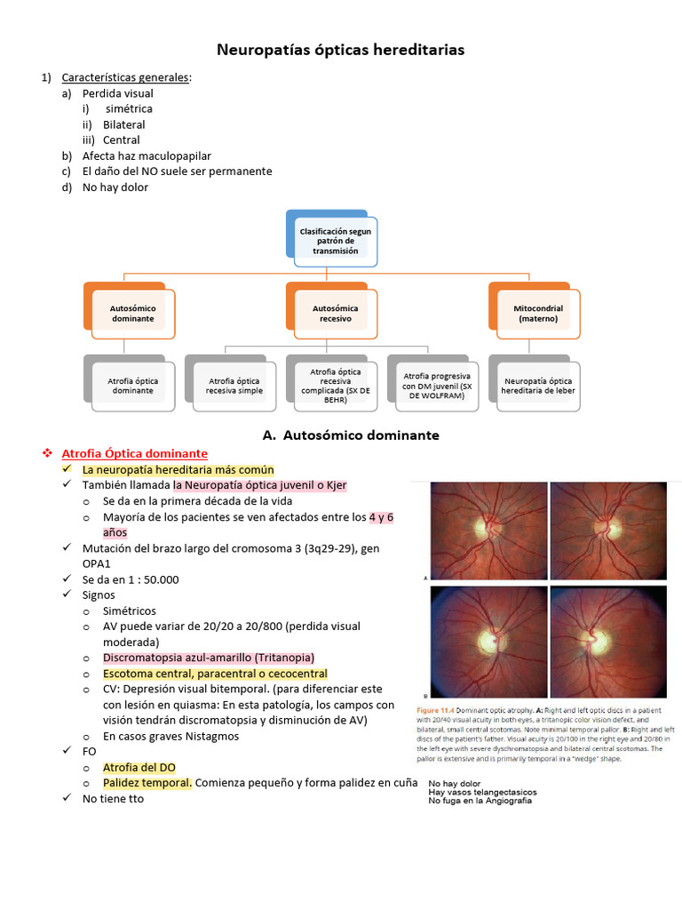 Neuropatía óptica Tóxica Nutricional Pdf Esclerosis Múltiple