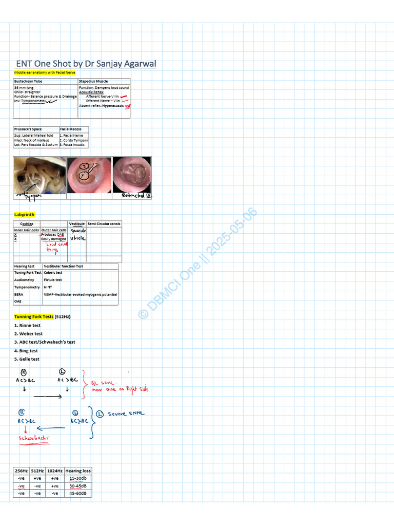 ENT Anatomy and Diagnostic Tests | PDF | Sensory Organs ...