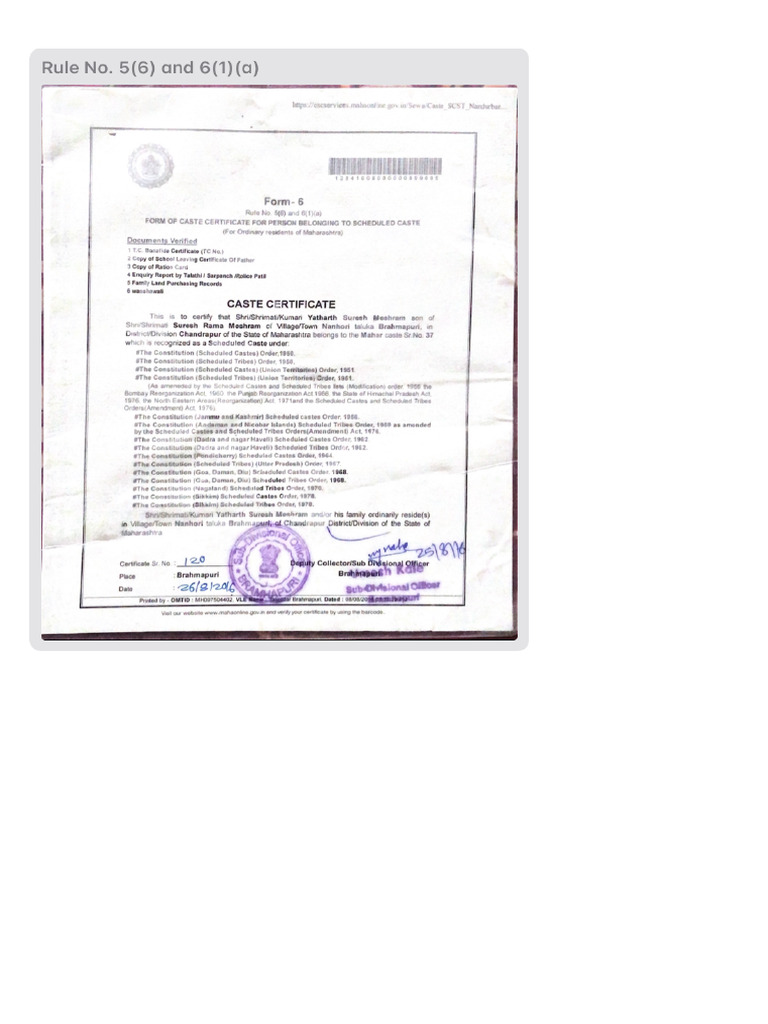 Cast Certificate | PDF