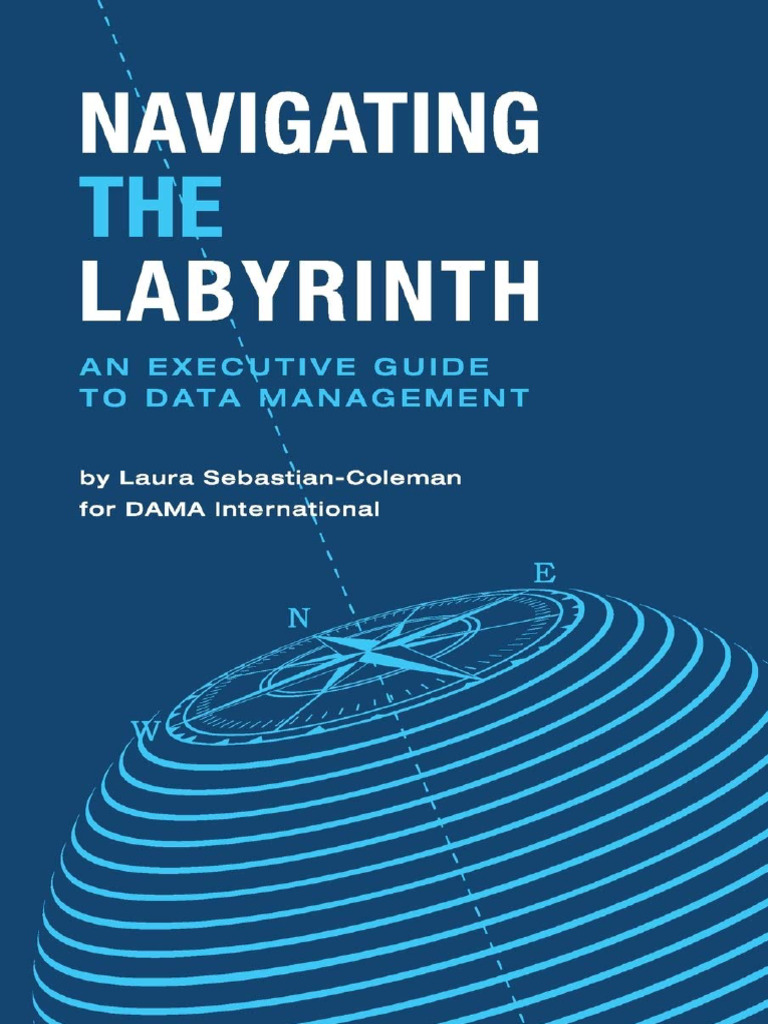Navigating The Labyrinth - An Executive Guide To Data Management ...