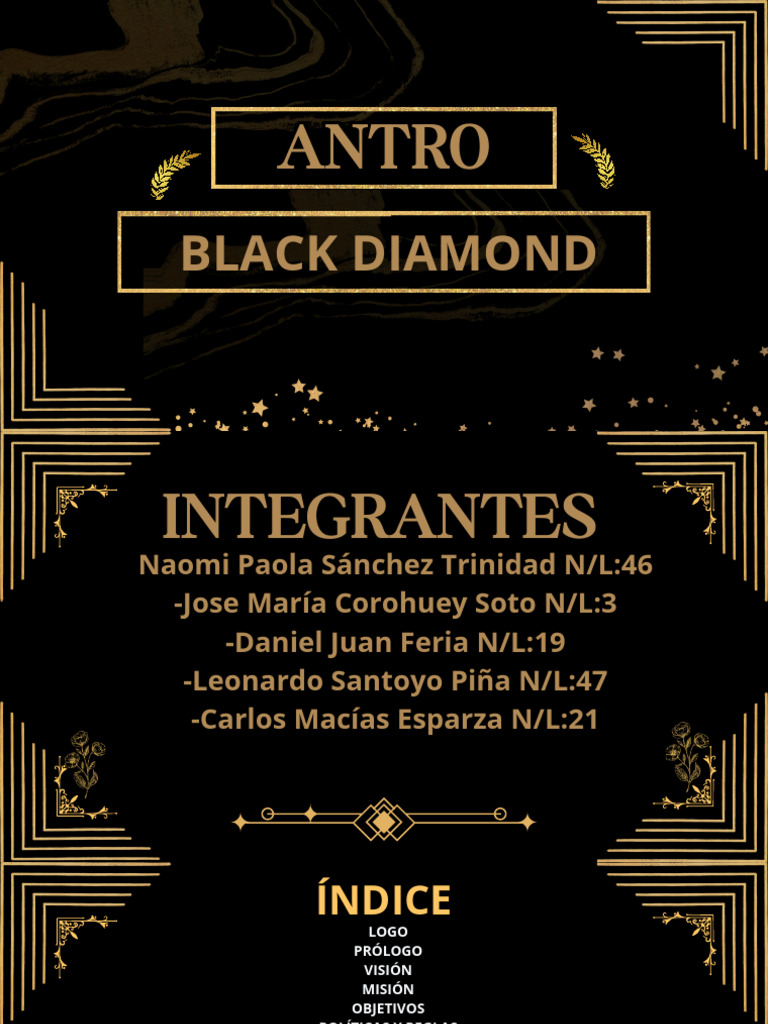 Presentacion Black Diamond | PDF | Comercio electrónico | Marketing