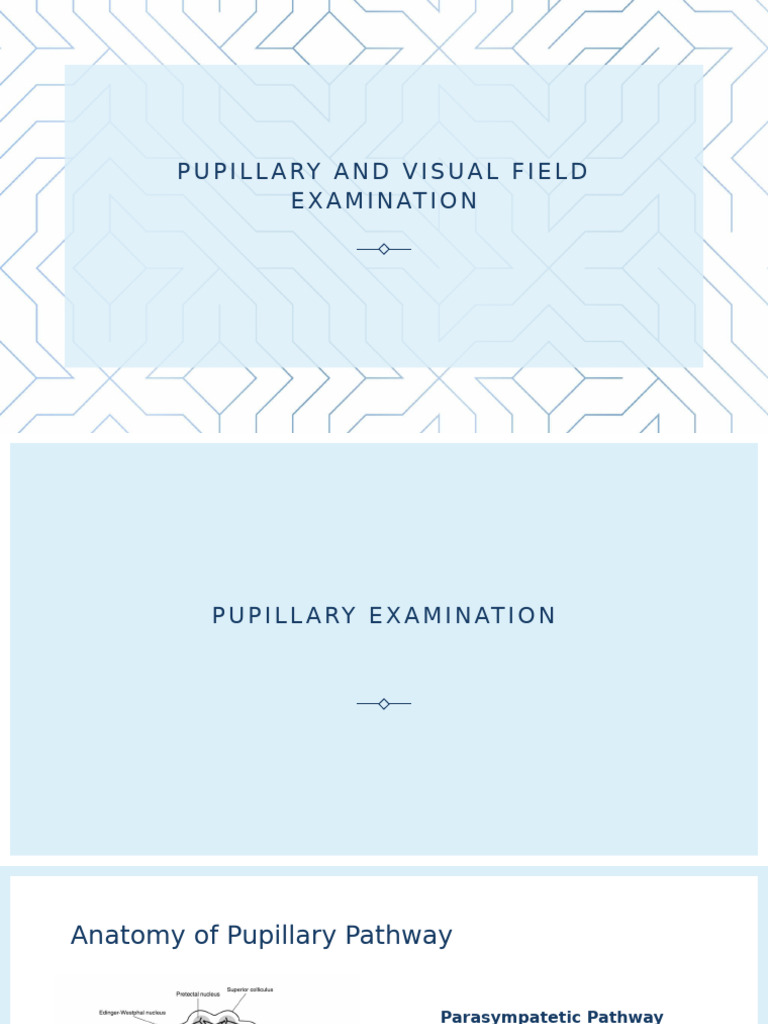 7. Pemeriksaan Lapang Pandang dan Refleks Pupil | PDF | Nervous System ...
